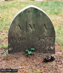 Cynthia Barton’s Transcendental Wife on the life of Abigail Alcott a ...